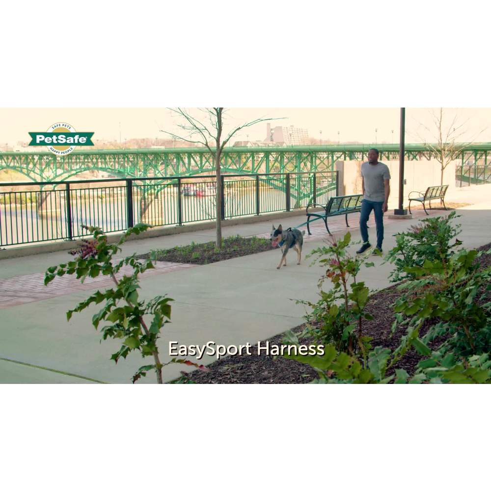 PetSafe EasySport Dog Harness, Comfortable Padding, Reflective, Large ...