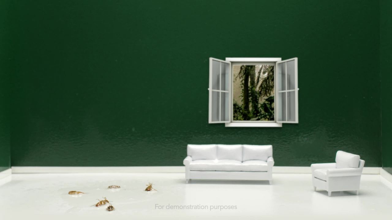 STEM Kills Indoor and Outdoor Ants Roaches and Flies Killer Bug Spray ...