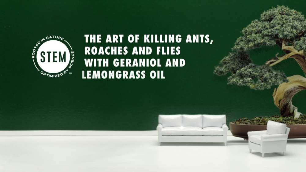 STEM Kills Indoor and Outdoor Ants Roaches and Flies Killer Bug Spray ...