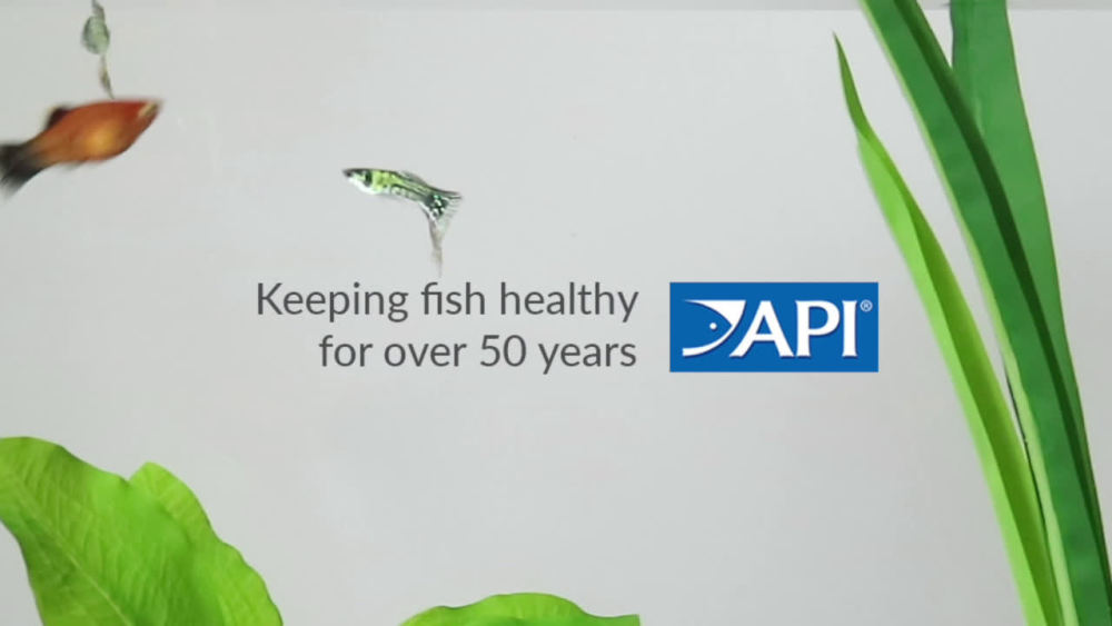 API Stress Zyme, Freshwater And Saltwater Aquarium Cleaning Solution, 8 ...