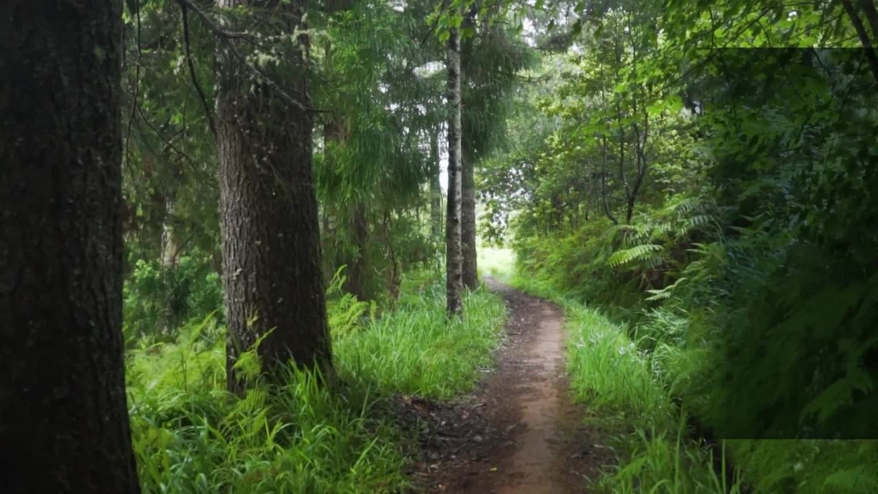 (2 pack) SABRE Frontiersman MAX Bear Spray and Mountain Lion Deterrent ...