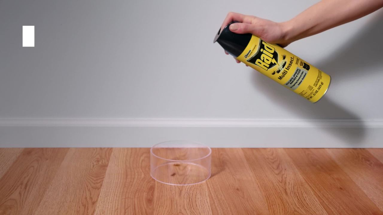 Raid Insect Killer Spray 15 oz Indoor Outdoor Ant Roach Spider Fly Bug ...