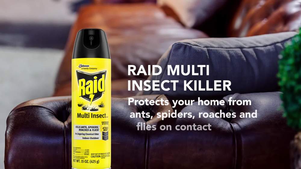 Raid Multi Insect Killer 7, Bug Killer Spray, Orange Breeze Scent, 15 ...