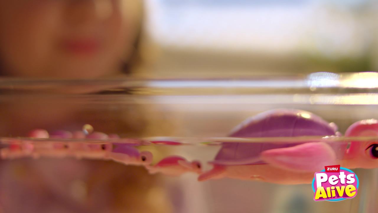 Pets Alive Mama Turtle Surprise by ZURU, Robot Toy Pet Turtle - Walmart.com