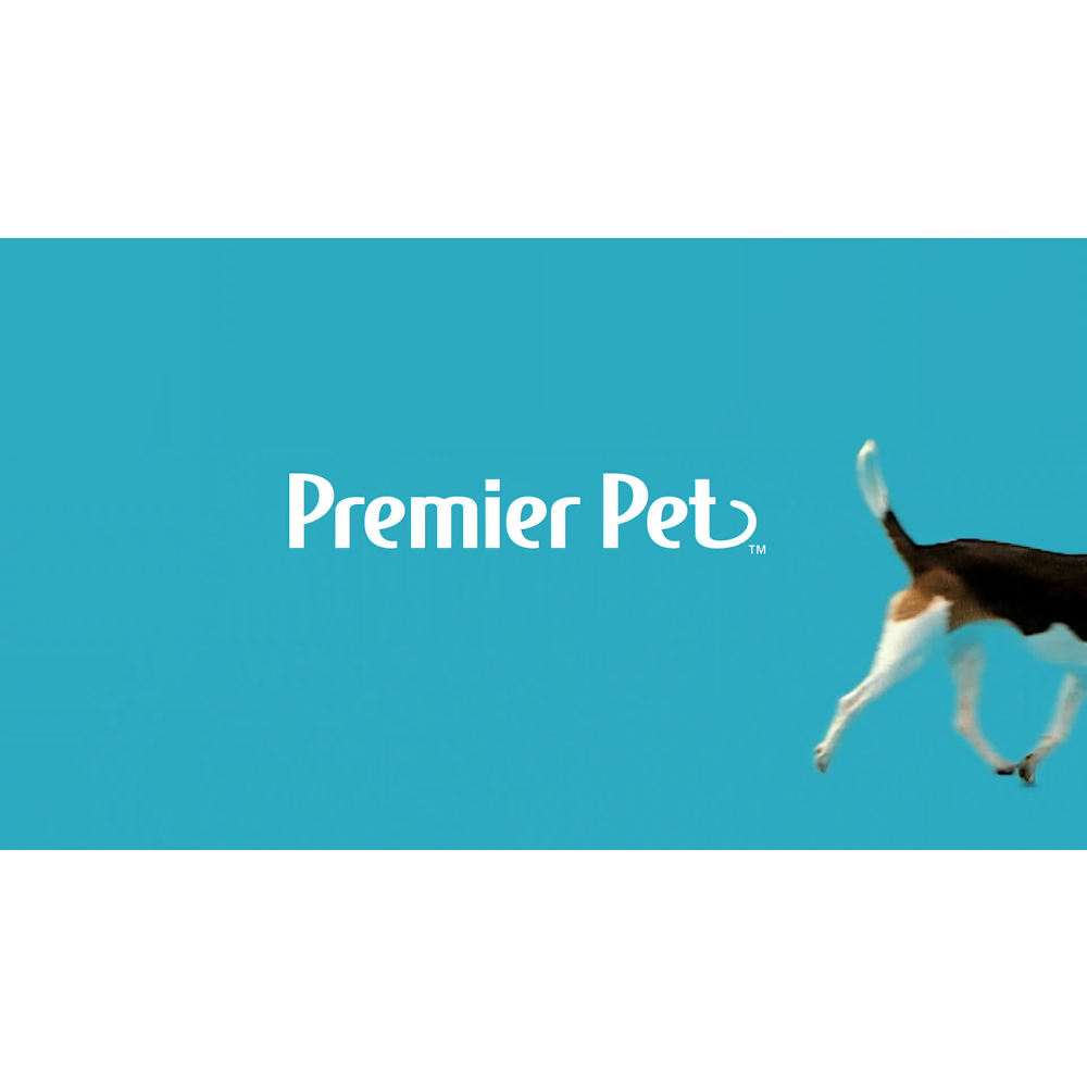 Premier Pet 6V Lithium Batteries - Replacement In-Ground Fence Collar ...