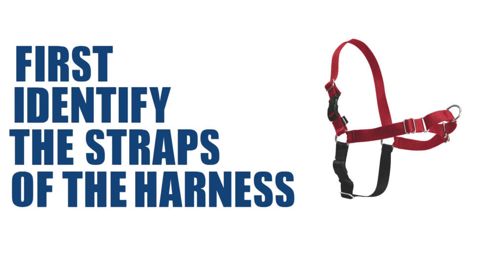 PetSafe Easy Walk No-Pull Leash Training Dog Harness, Small/Medium, Red ...
