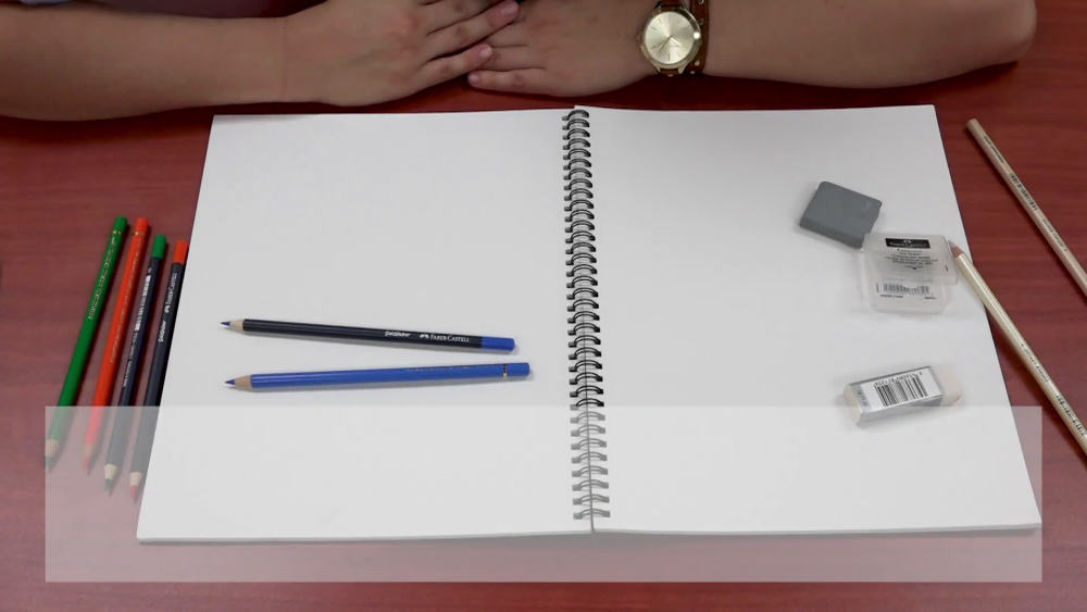 Faber-Castell Polychromos Color Pencil, Adult Color Pencils for ...