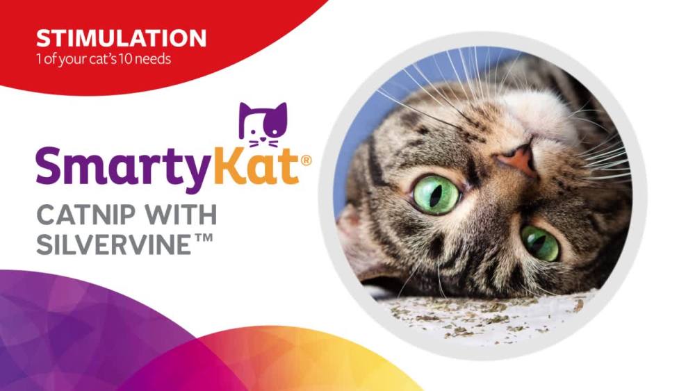 SmartyKat Catnip with Silvervine, Pure & Potent Blend for Cats ...