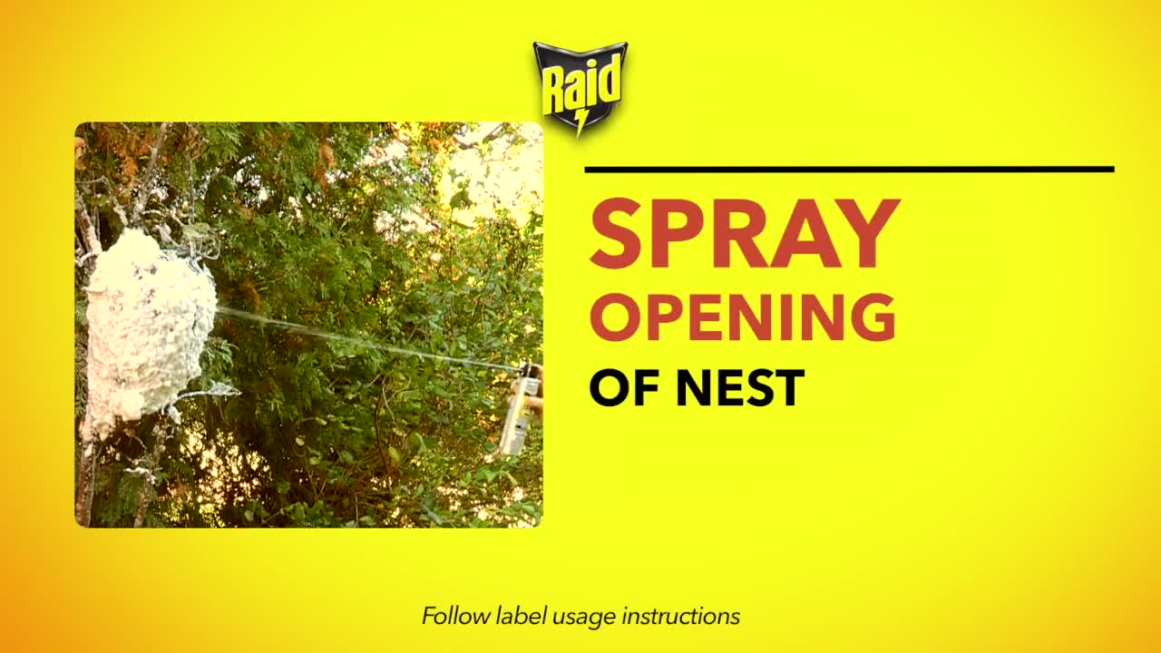 Raid Max Foaming Wasp & Hornet Killer, 13 oz - Long Distance Insect ...