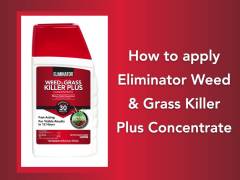 Eliminator Weed & Grass Killer Plus Concentrate Herbicide, 16 oz ...