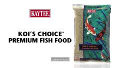 Kaytee Koi's Choice Koi Floating Fish Food 10 LB Bag - Walmart.com