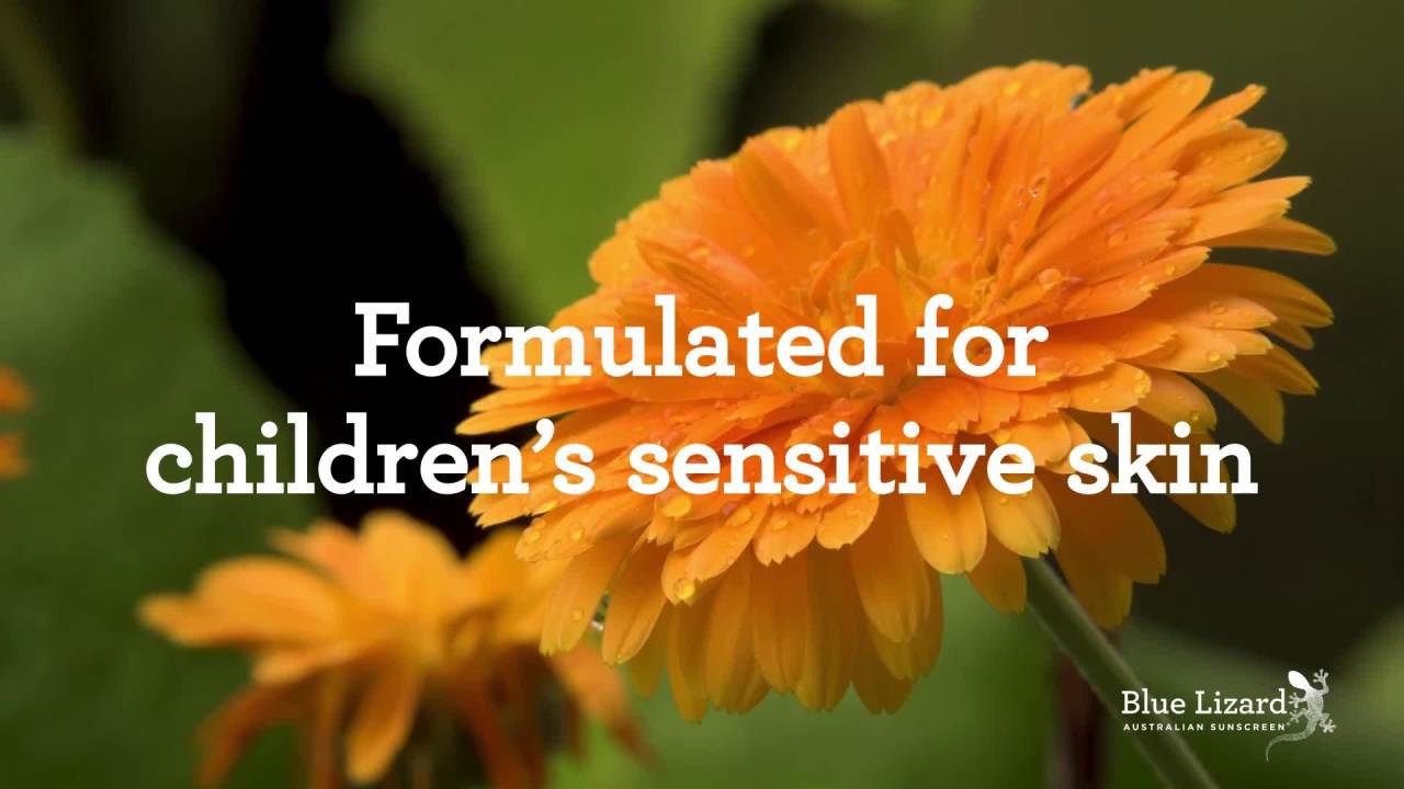 Blue Lizard Kids SPF 50 Mineral Sunscreen, Reef Safe, Water Proof ...