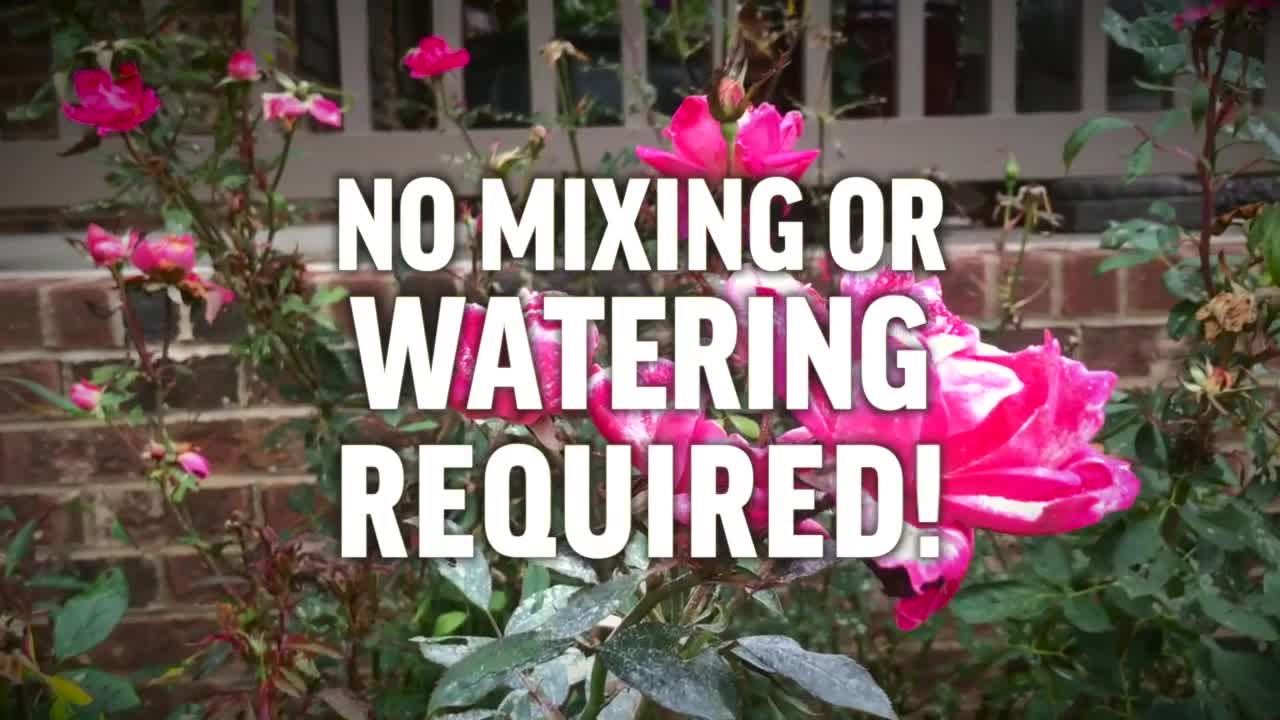 Sevin 5% Dust Insect Killer Shaker Bottle, 1lb - Outdoor Insecticide ...