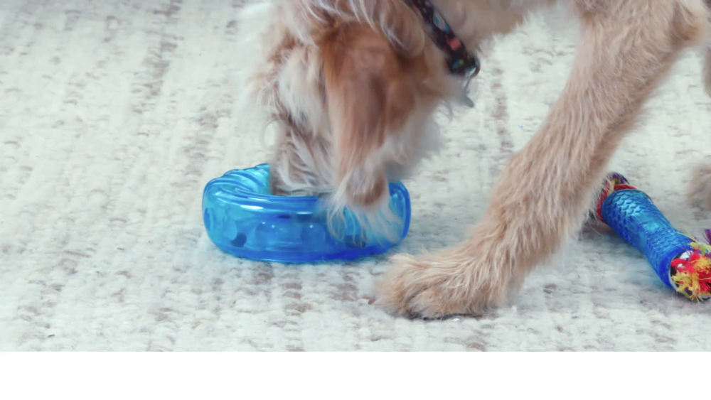Petstages Orka Mini Chew Dog Bone Toy, Multicolor - Walmart.com
