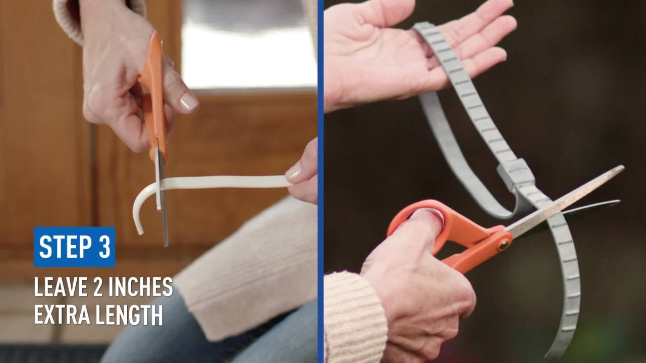 (4 pack) ADAMS Flea & Tick Control Collar for Dogs, 7-Month Protection ...