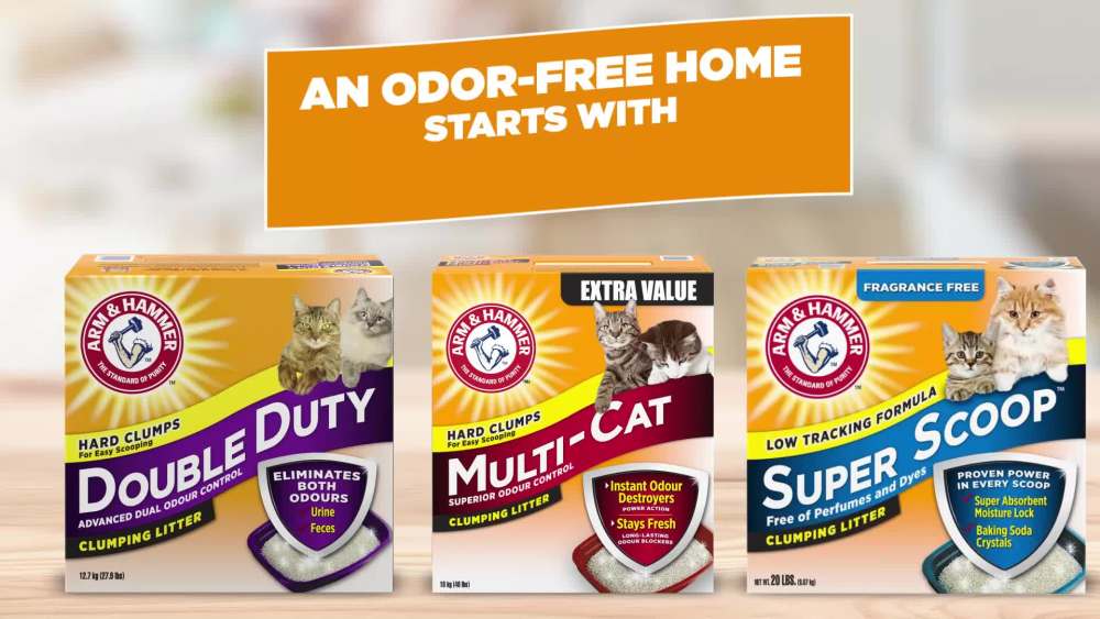 (2 pack) ARM & HAMMER Forever Fresh Clumping Cat Litter, Lavender ...