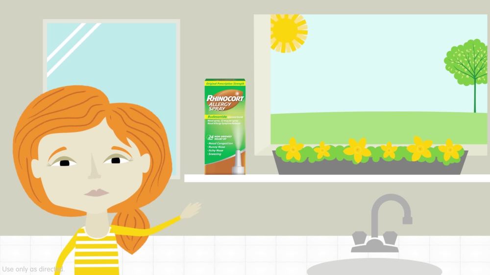 Rhinocort 24 Hour Allergy Relief Budesonide Nasal Spray, 120 sprays ...
