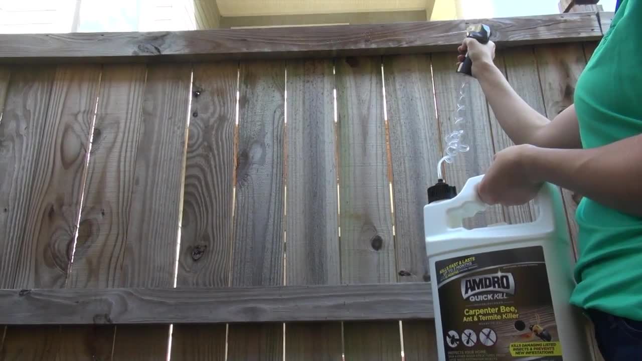 Amdro Quick Kill Outdoor Insecticide Spray, Carpenter Bee, Ant ...