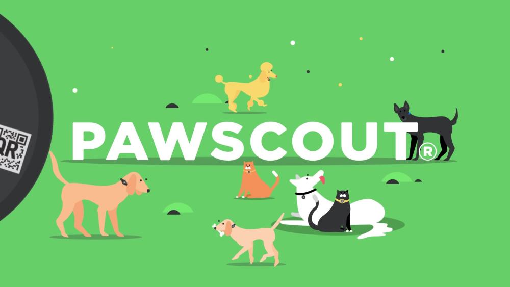 PawscoutQR Smart Pet Tag for Dogs & Cats, Pair with App to Send Lost ...