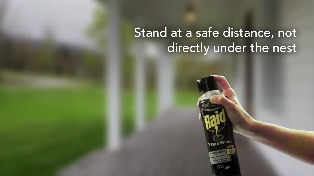 Raid Killer 33 Outdoor Wasp and Hornet Insecticide, Long Distance Spray ...