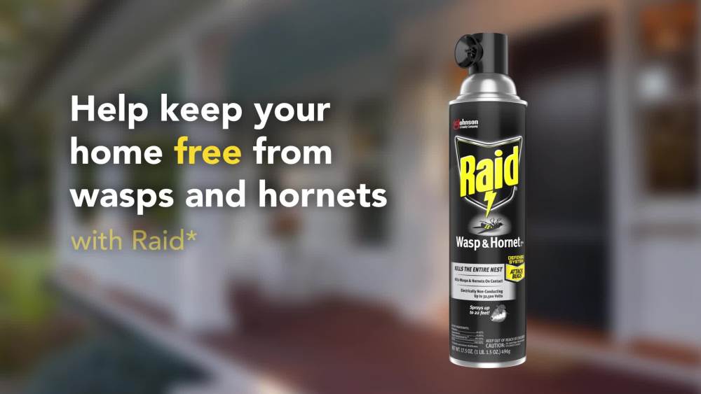 Raid Wasp & Hornet Insect Killer 33, Insect Spray for Stinging Bugs ...