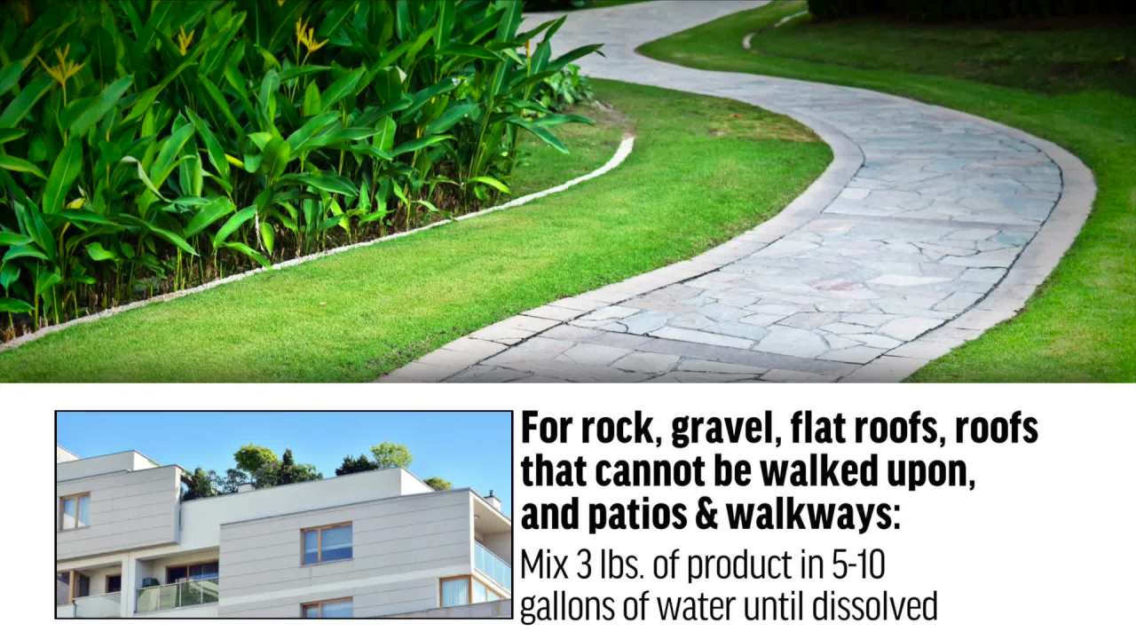 Corry's Moss B Ware Moss Killer Herbicide, 3 lb. Shaker, 1 Count ...