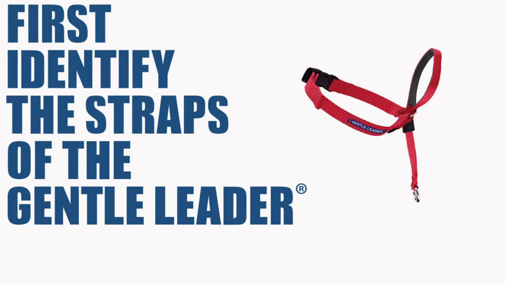 PetSafe Gentle Leader Headcollar, No-Pull Dog Collar, Large 60-130 Lb ...
