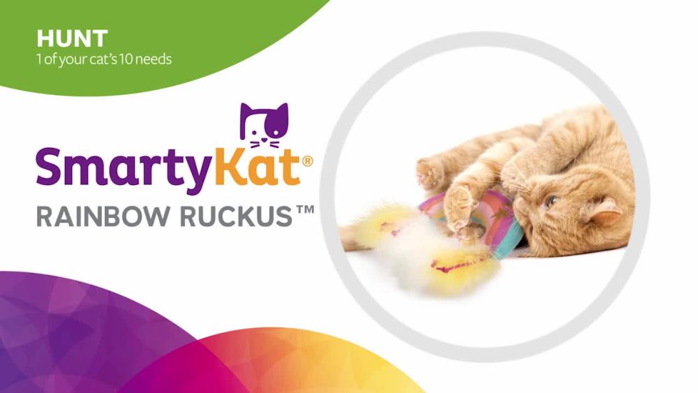 SmartyKat Rainbow Ruckus Catnip Kicker Cat Toy with Raffia & Feathers ...