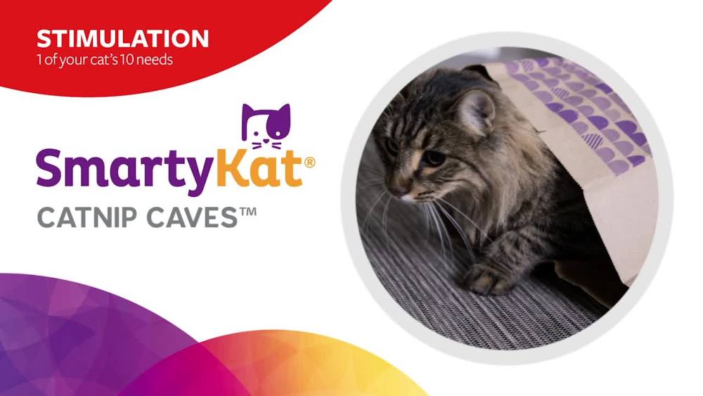SmartyKat Catnip Caves Paper Bag Cat Toys, Scratch Activated Catnip ...