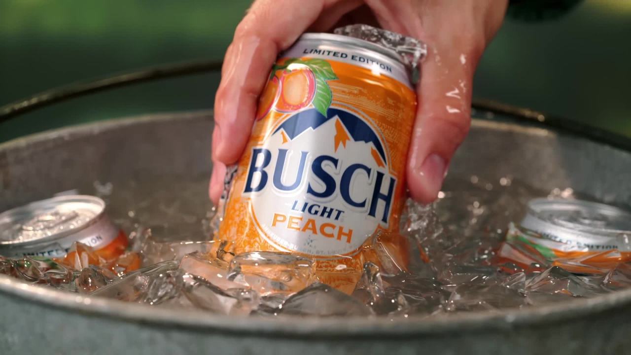 Busch Light Peach American Lager Beer 12 pack 12 fl oz Aluminum Cans 4. ...