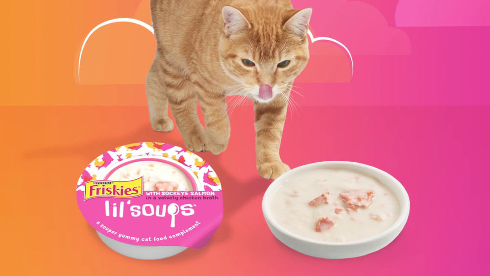 Purina Friskies Lil' Soups Salmon and Tuna for Cats Variety Pack, 1.2 oz Cups (18 Pack ...