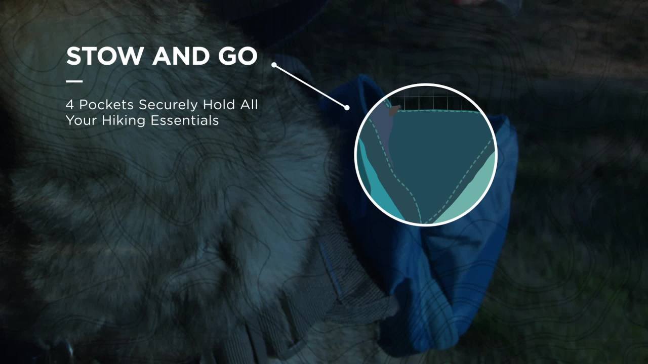 Outward Hound DayPak Doggie Hiking Gear, Travel Walking Puppy Backpack ...