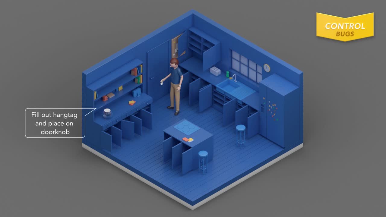 Raid Insect Killer, House & Garden I, 11 oz - Walmart.com