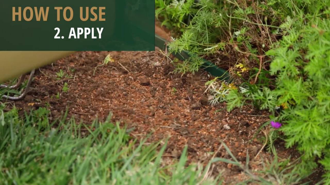 Free Shipping! Scotts EZ Seed Patch and Repair Sun and Shade 10 lb for ...