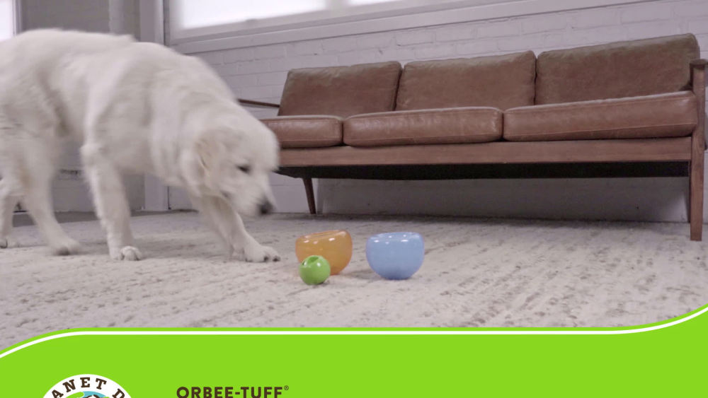 Planet Dog Orbee-Tuff Snoop Interactive Treat Dispensing Dog Toy ...