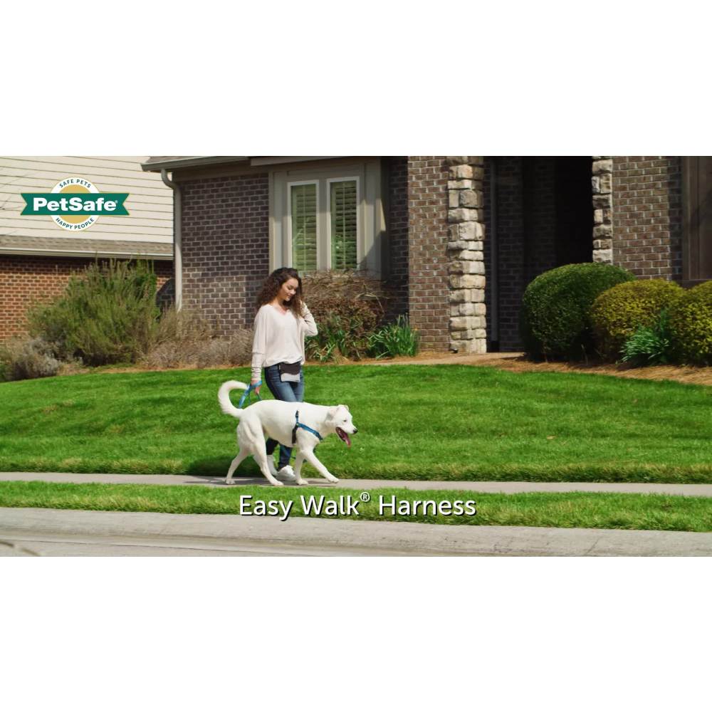 PetSafe Easy Walk No-Pull Leash Training Dog Harness, Large, Raspberry ...