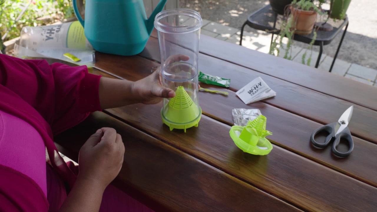 (2 pack) RESCUE! Non-Toxic Wasp, Hornet, Yellowjacket Trap (WHY Trap ...